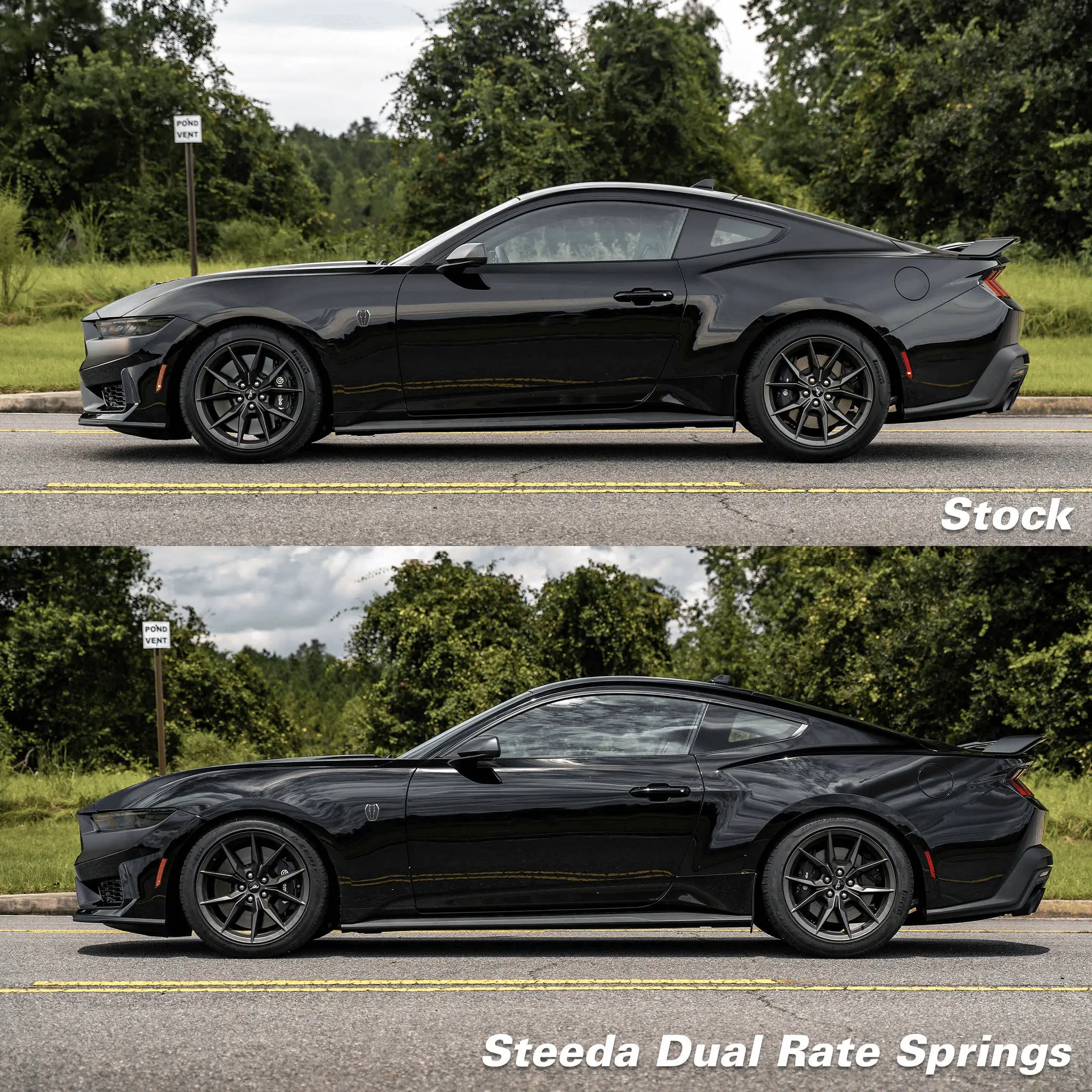 Steeda Lowered - Sport / Minimum / Dual Rate Springs! | Mustang7G ...