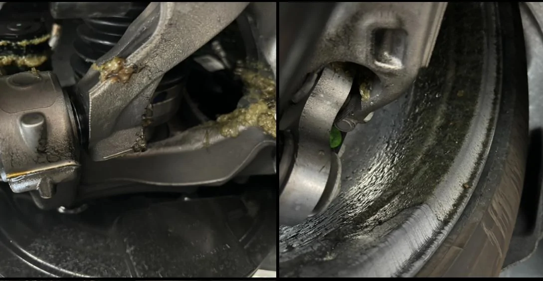 Grease mess inside rear wheel? | Mustang7G - 2024+ S650 Mustang Forum ...