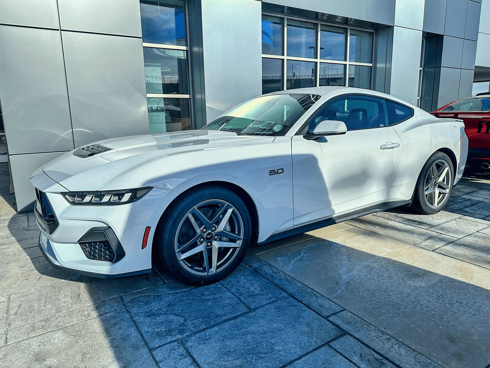 Checked out the S650 at the local dealer for the first time | Mustang7G ...
