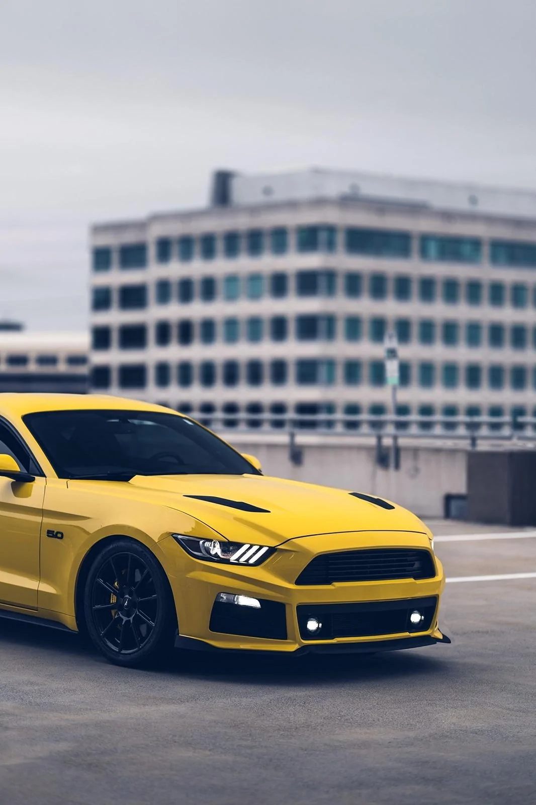 Roush - You there? | Mustang7G - 2024+ S650 Mustang Forum (Dark Horse ...