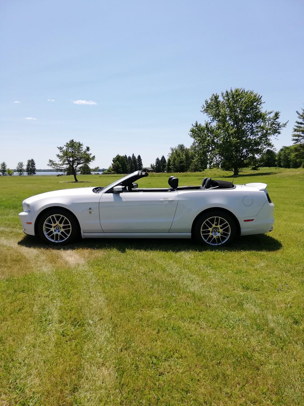 Strut Tower Brace Custom Aluminum ID Plates | Mustang7G - 2024+ S650 ...