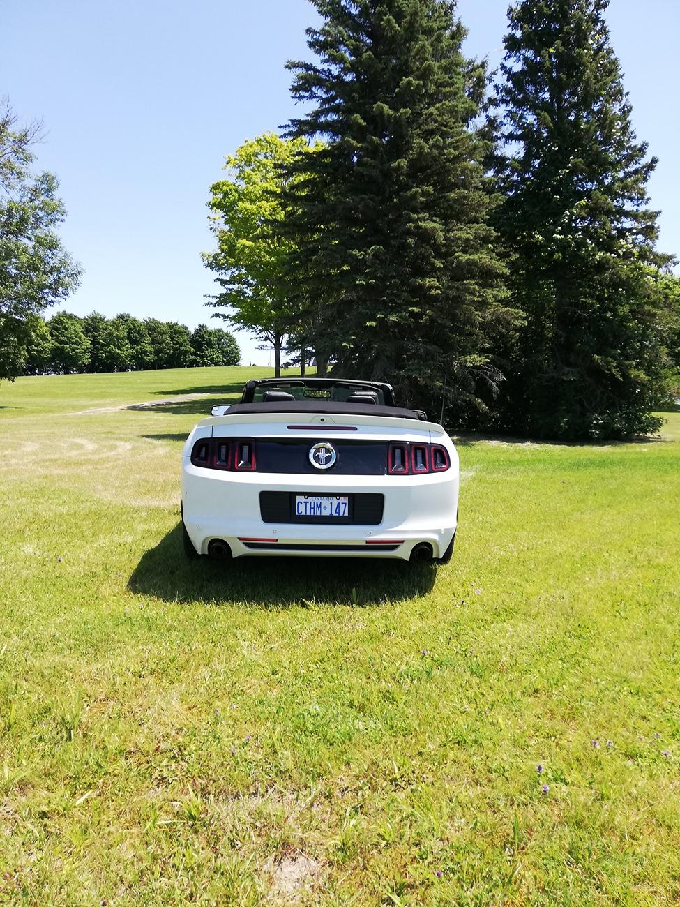 Strut Tower Brace Custom Aluminum ID Plates | Mustang7G - 2024+ S650 ...