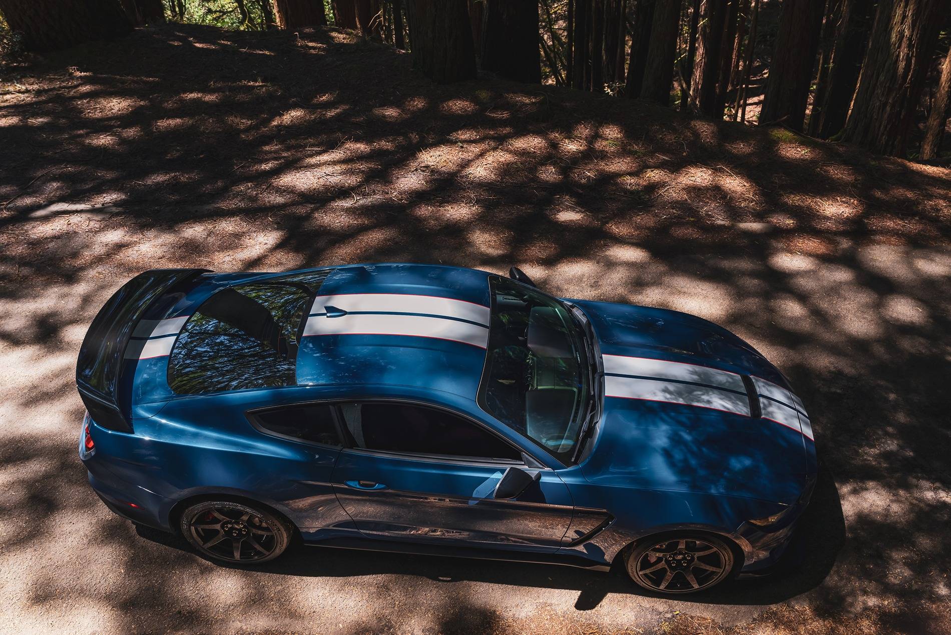 Hot take the s650 is better looking than the s550 | Mustang7G - 2024 ...