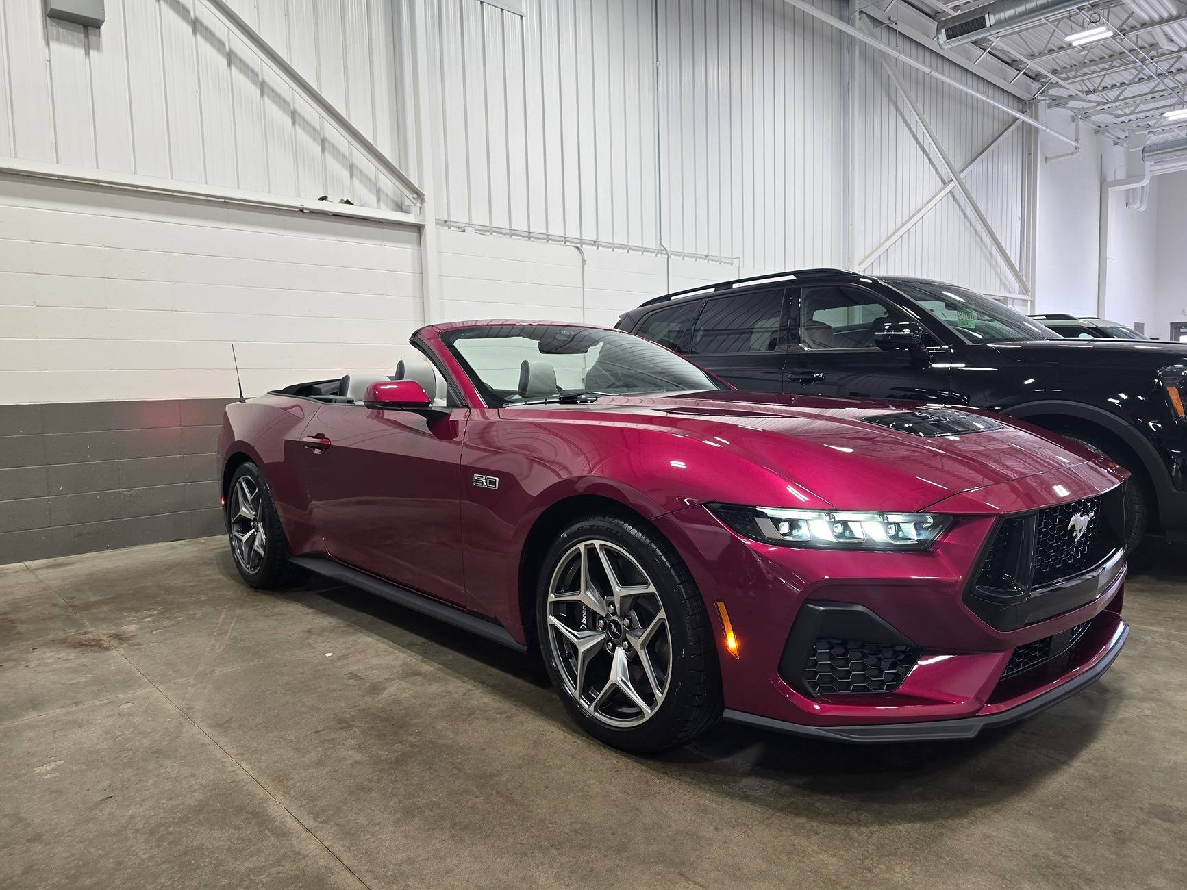 Molten Magenta Metallic S650 Mustang DELIVERED! | Mustang7G - 2024 ...