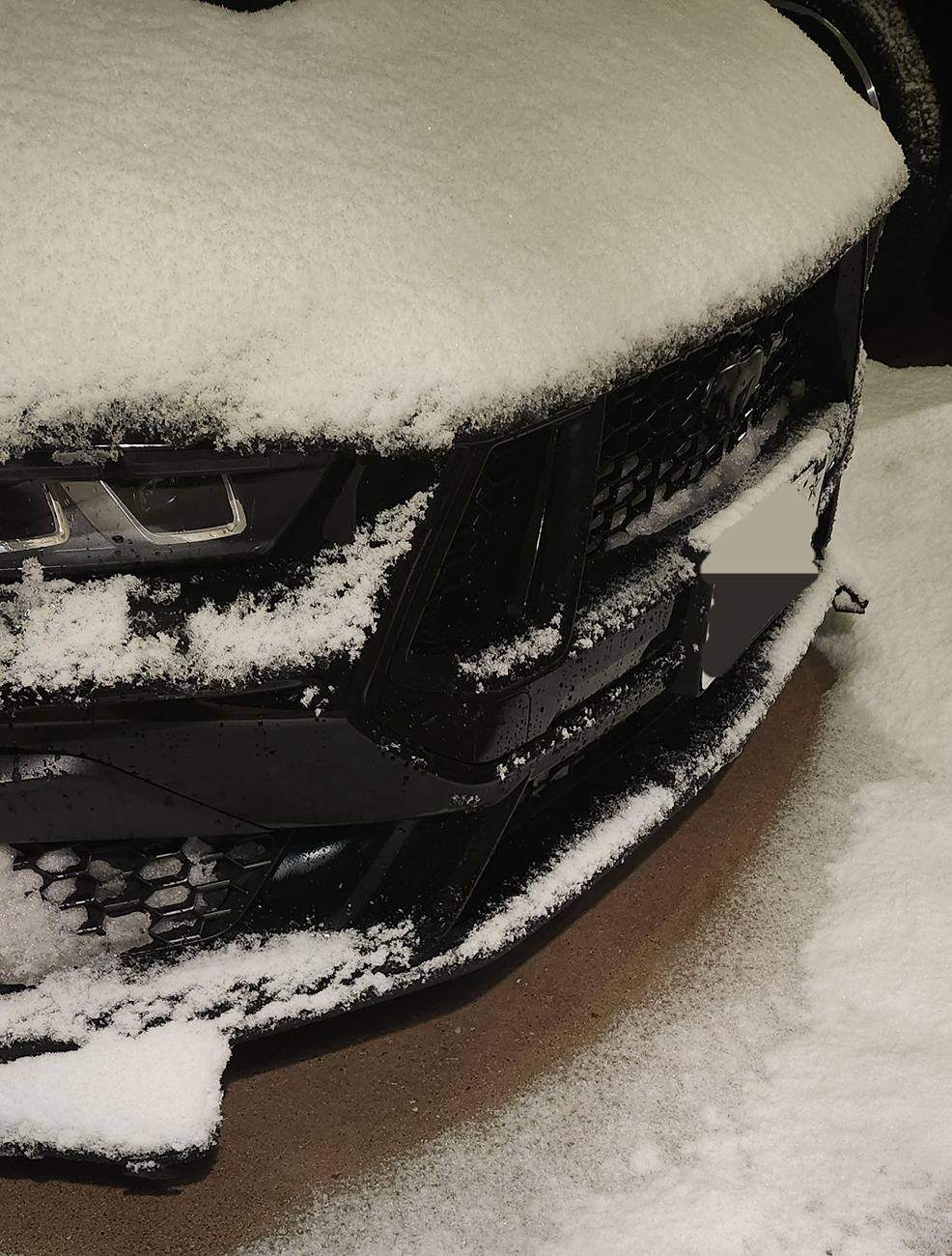 NYTOP - An absolutely amazing company to deal with for Mustang / Dark ...