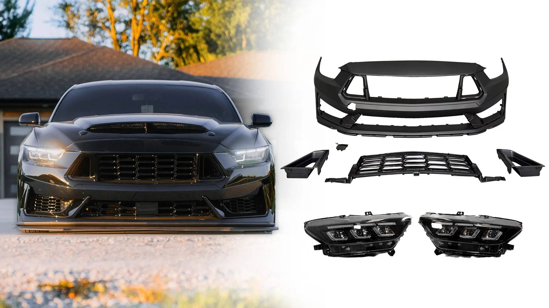 Auto Addict is NOW AVAILABLE here at Lethal Performance! | Mustang7G ...