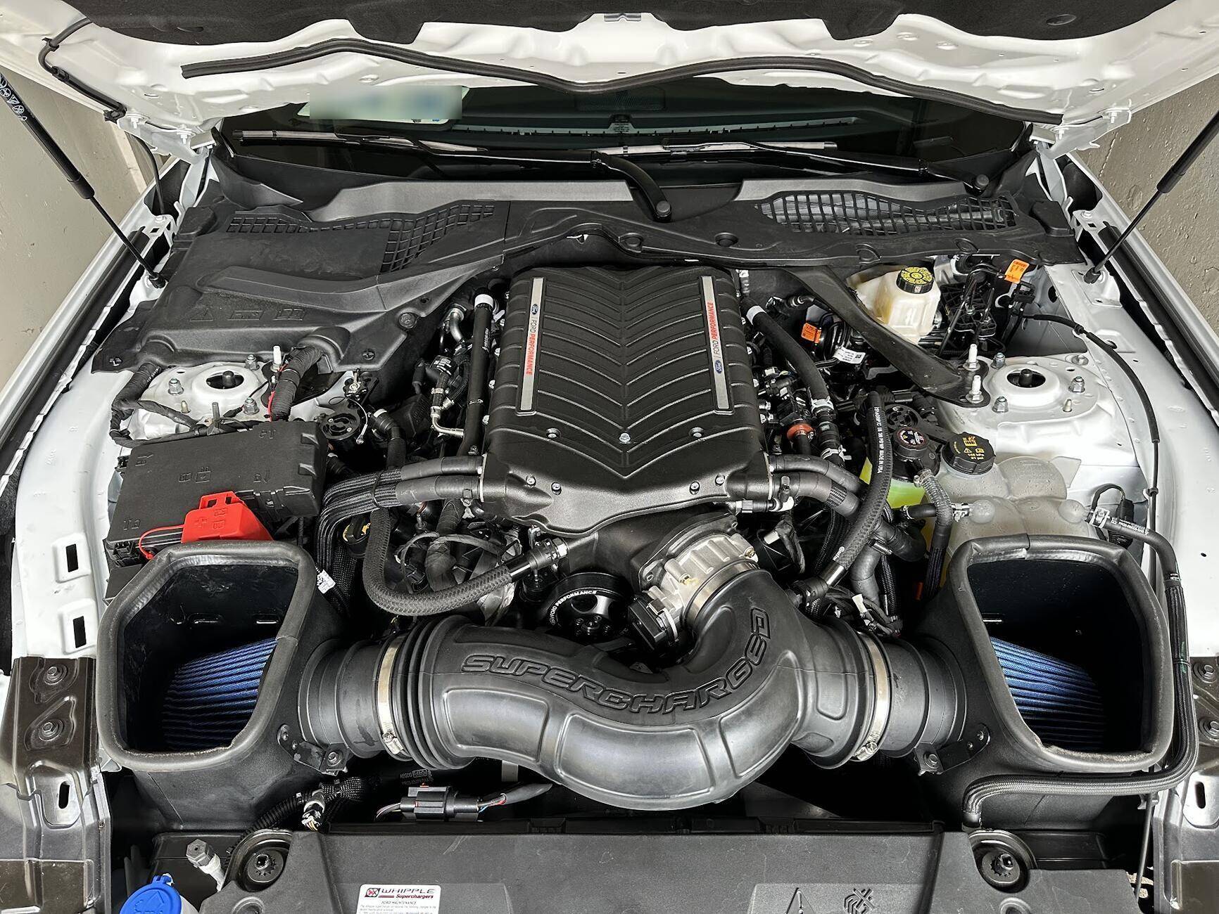 2024 Dark Horse Premium "Freyja" (Chassis # 7161) - My Build Journal ...