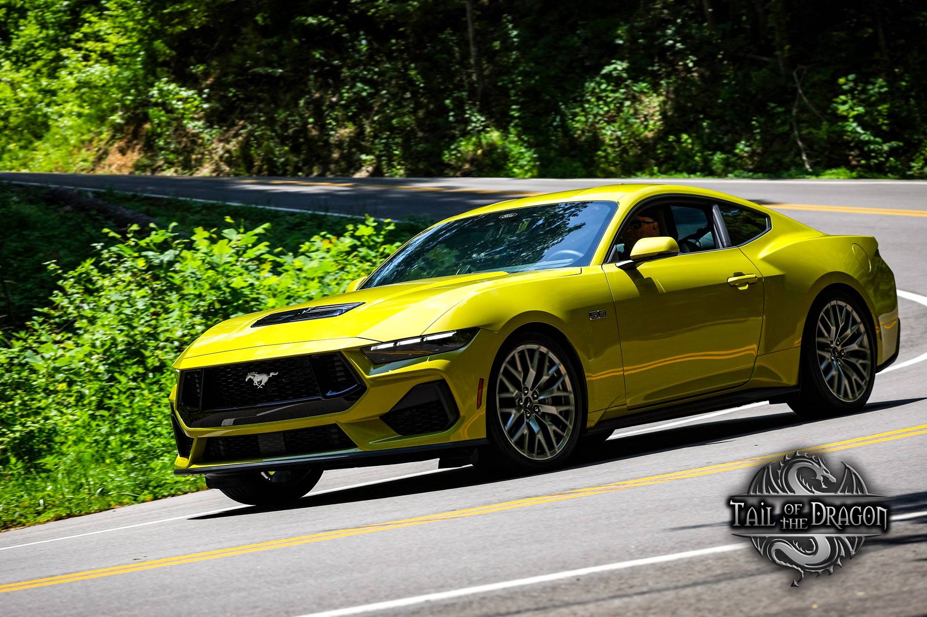 Official INTENSE LIME YELLOW Mustang S650 Thread | Page 6 | Mustang7G ...