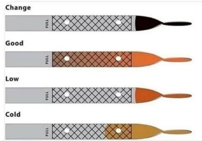 Oil Change Interval on my 2024 GT | Mustang7G - 2024+ S650 Mustang ...