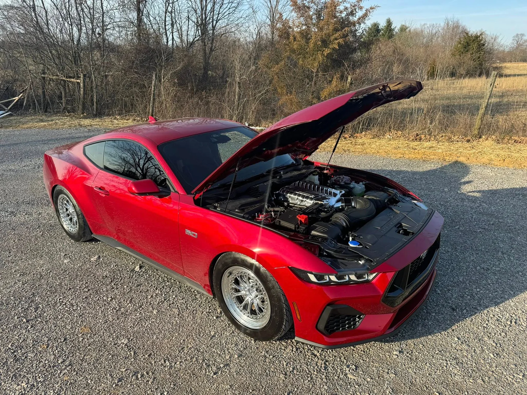 Quickest S650 GT on the Planet!! | Mustang7G - 2024+ S650 Mustang Forum ...