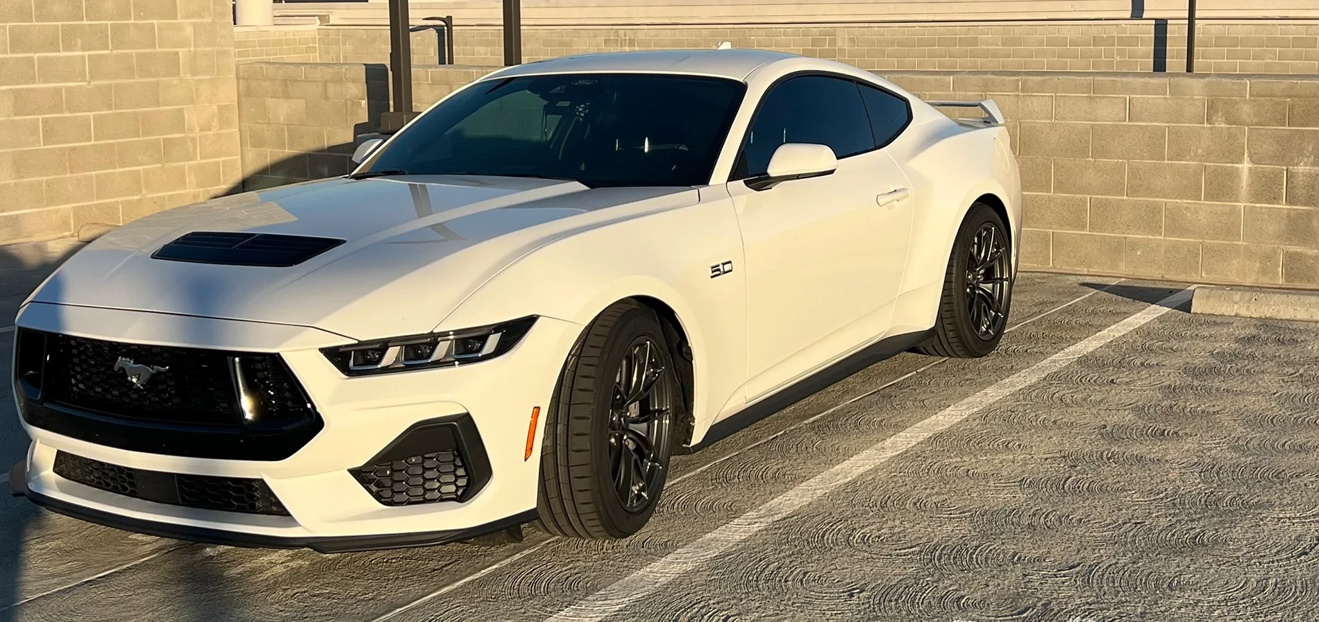 New sneakers: Apex wheels VS-5RS 18x10 + Continental Extreme Contact ...