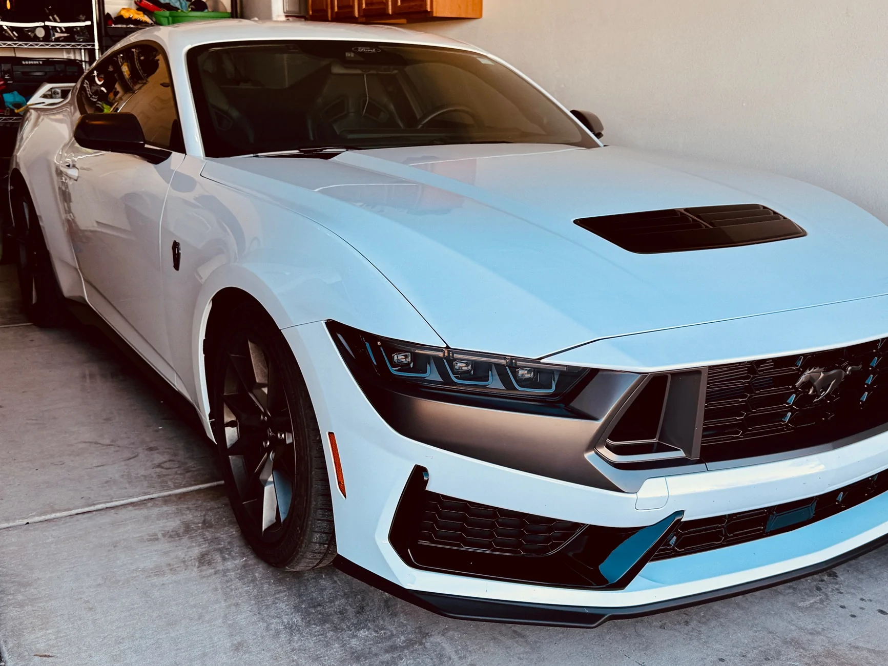 What do we think about the hood graphics? | Mustang7G - 2024+ S650 ...