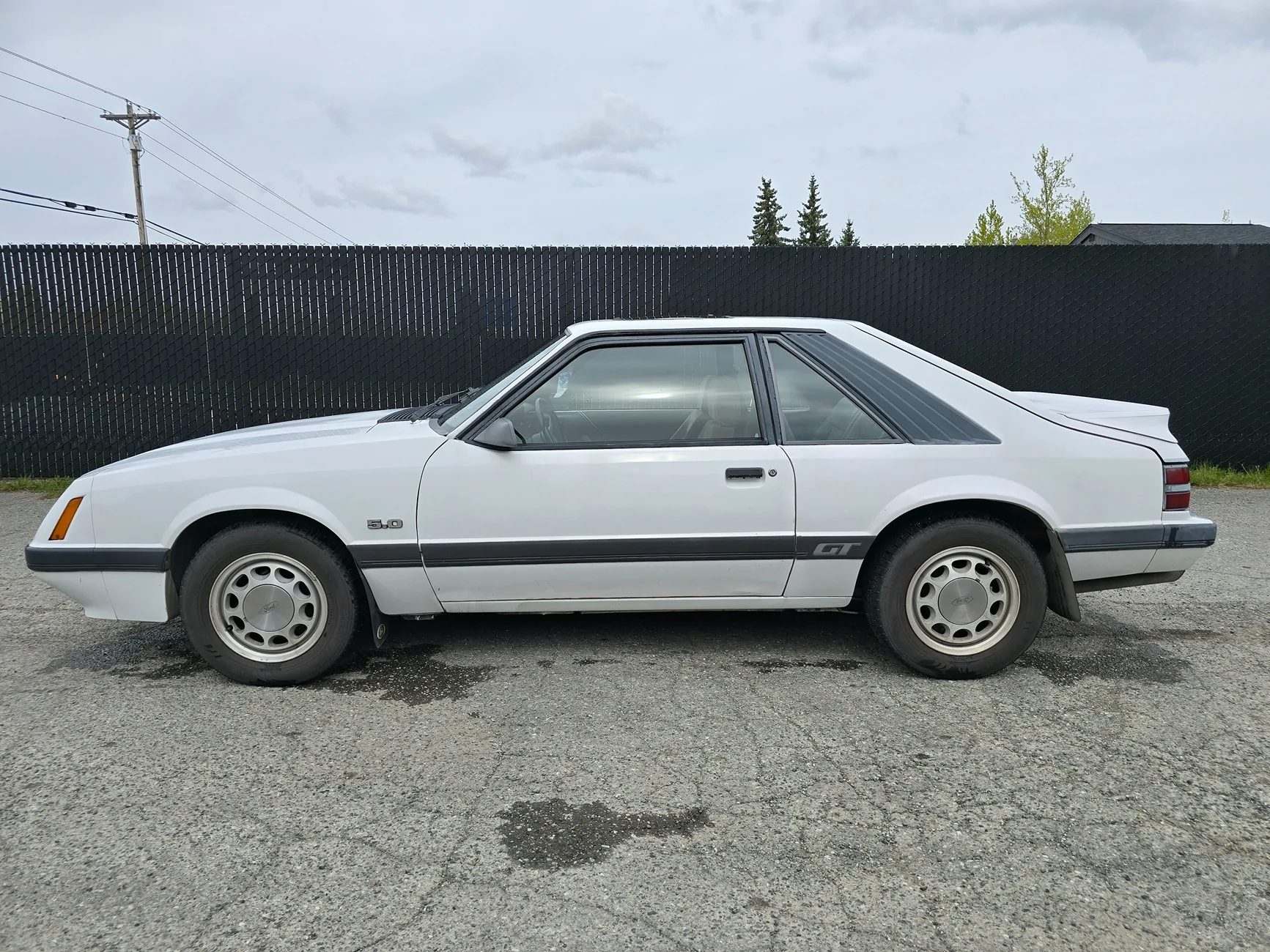 Multiple Mustangs in your family ? | Mustang7G - 2024+ S650 Mustang ...