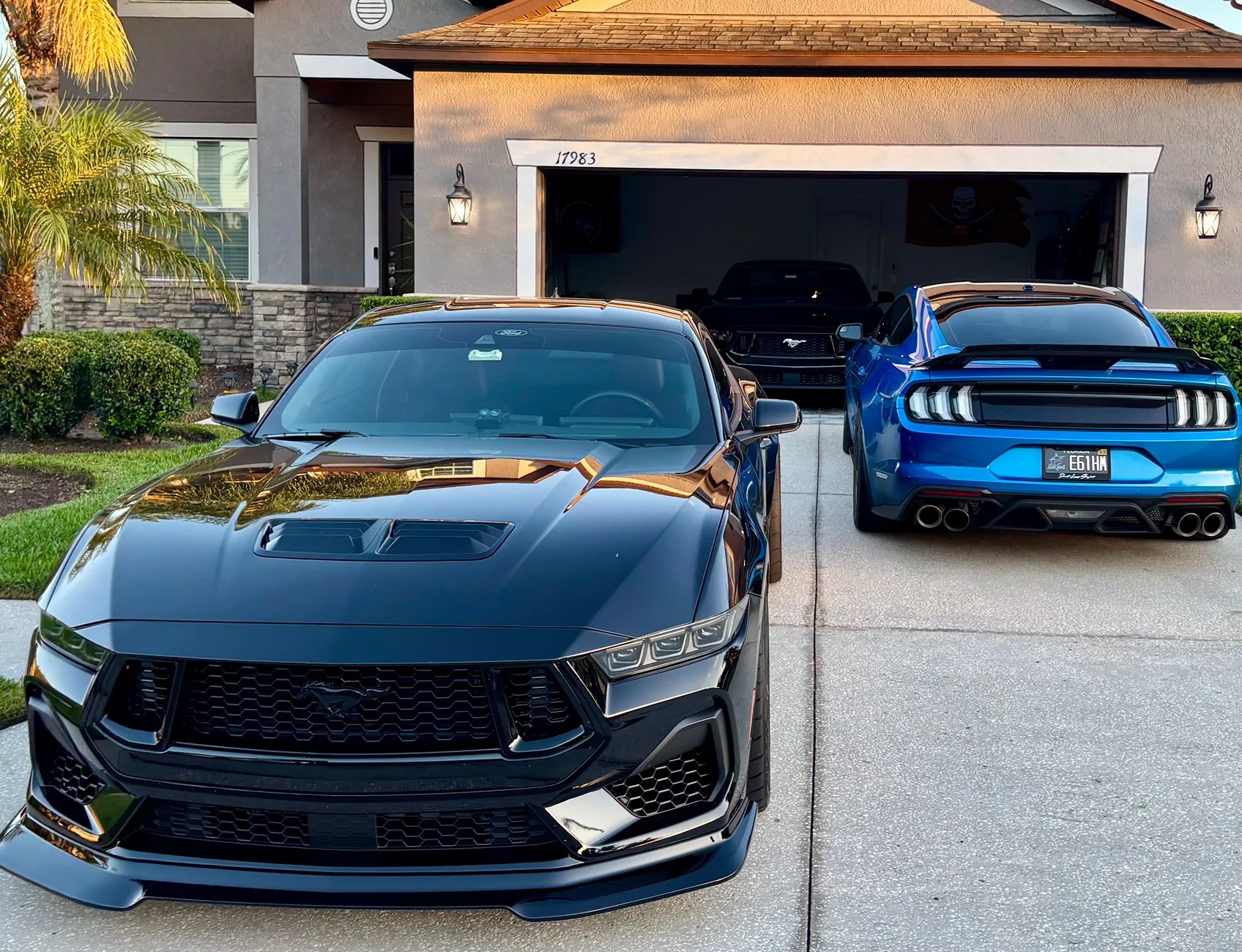 Multiple Mustangs in your family ? | Mustang7G - 2024+ S650 Mustang ...