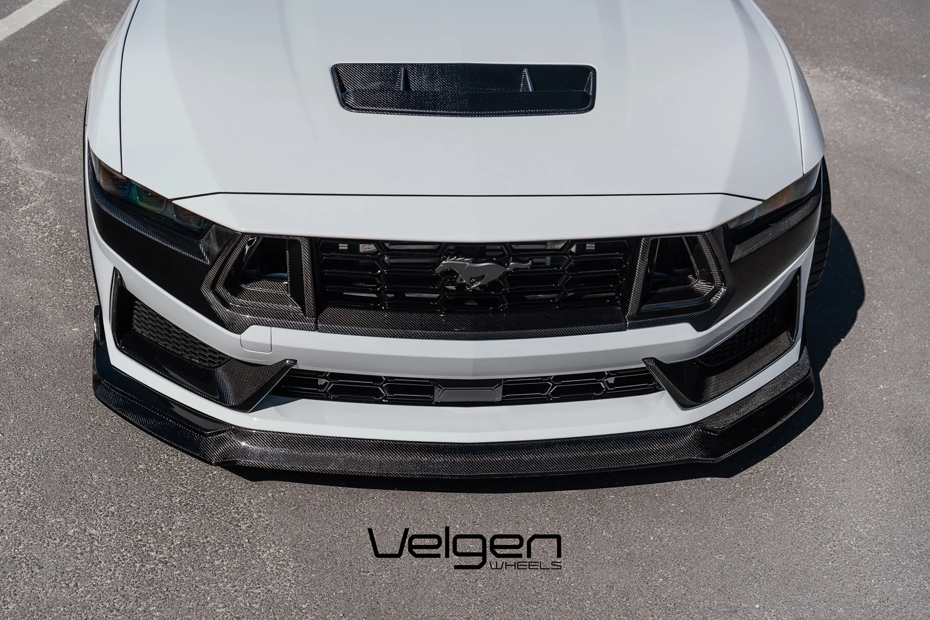 CARBON MADNESS X ANDERSON COMPOSITES X VELGEN WHEELS DARK HORSE ...