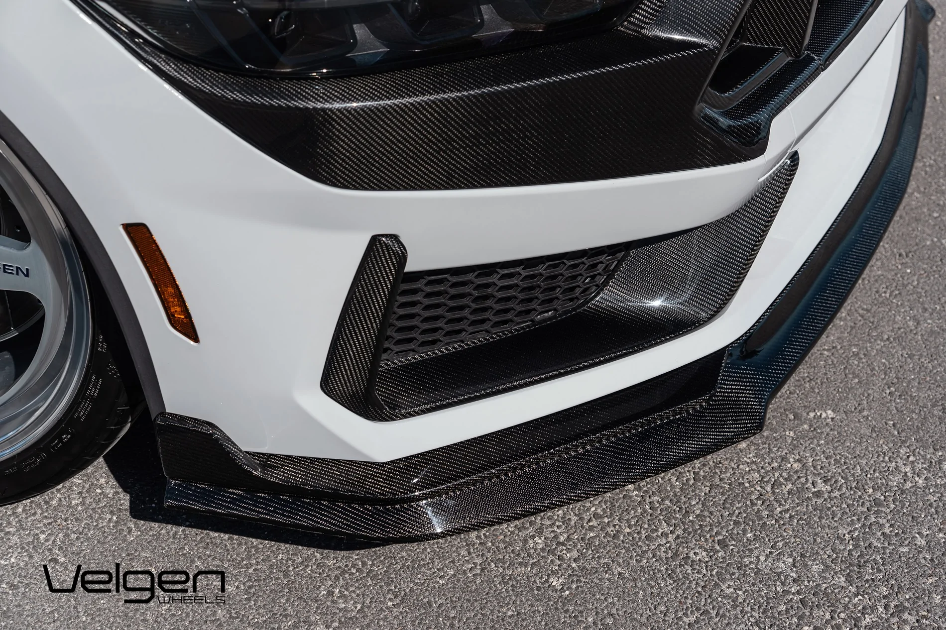 CARBON MADNESS X ANDERSON COMPOSITES X VELGEN WHEELS DARK HORSE ...